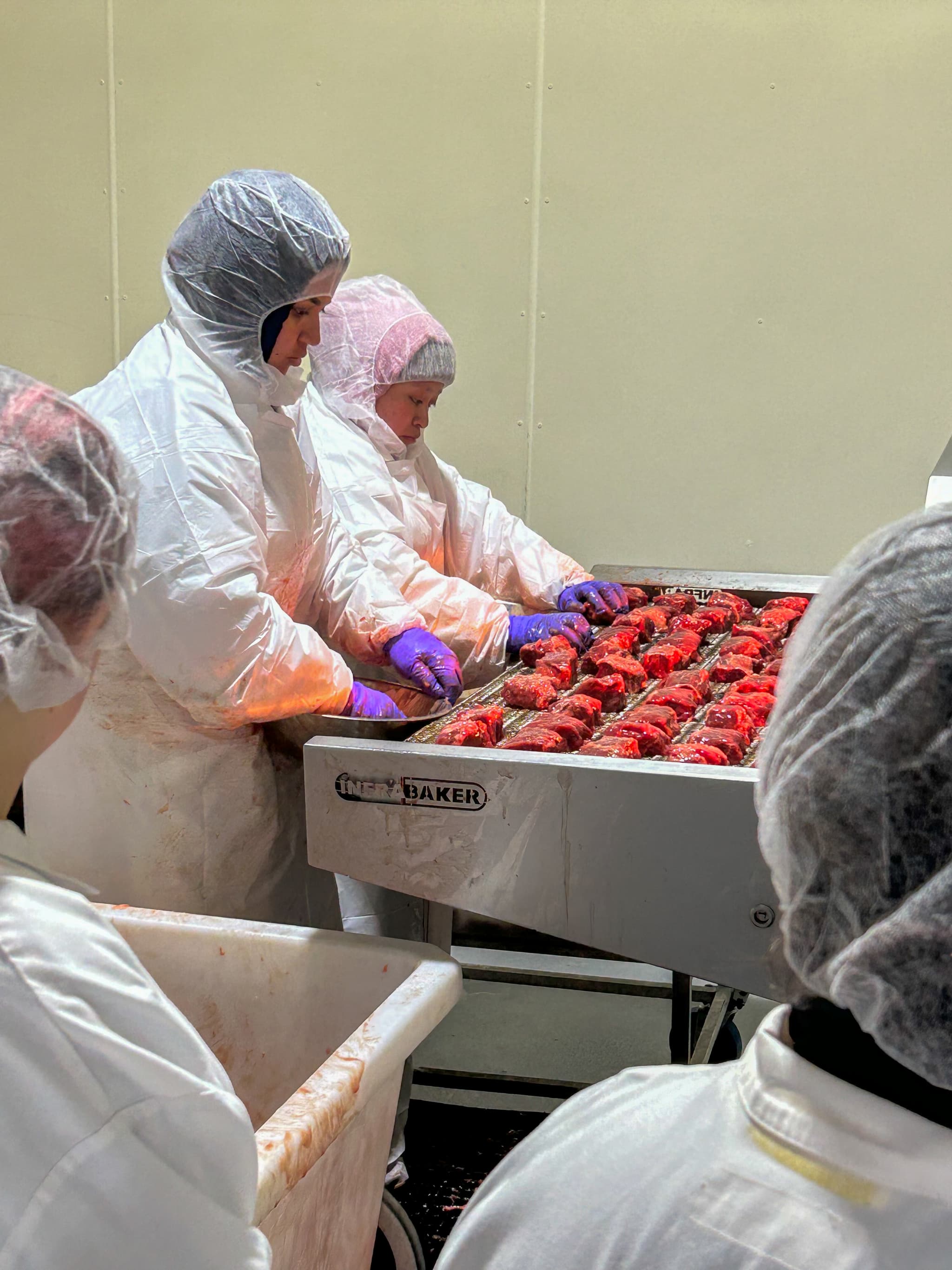 AFA Food Systems - Overview